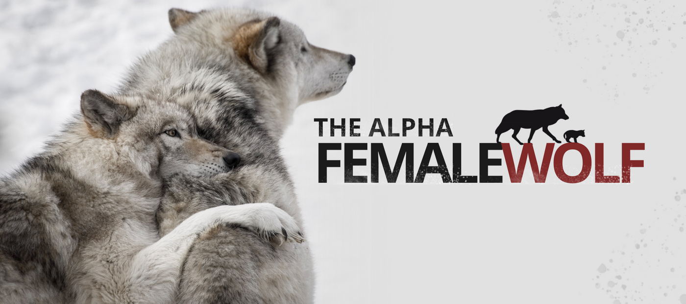 The Female Wolf | Wolf Stuff